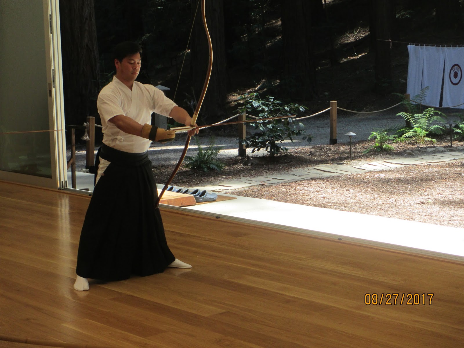 zen archery