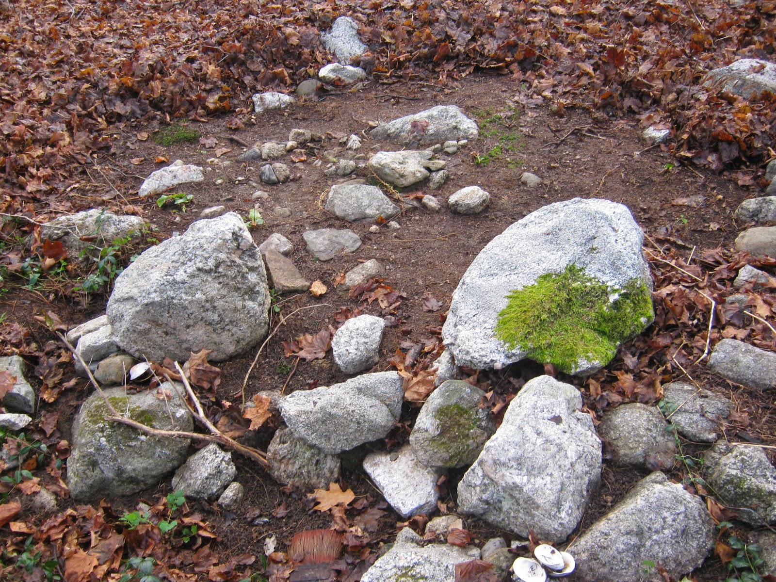 Waking Up on Turtle Island: Recognizing Possible Testudinate Indigenous ...