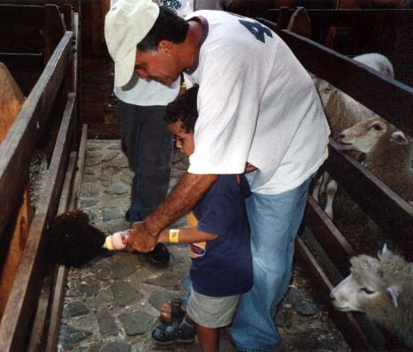 Parque panaca sabana