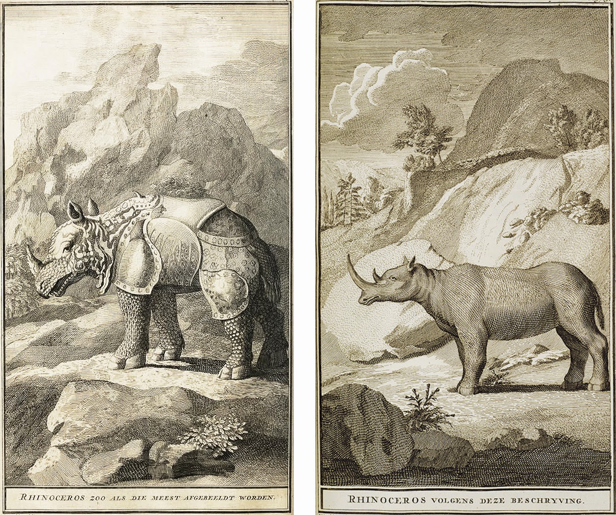 artbouillon: Dürer's Rhinoceros: Art, Exotica, and Empire
