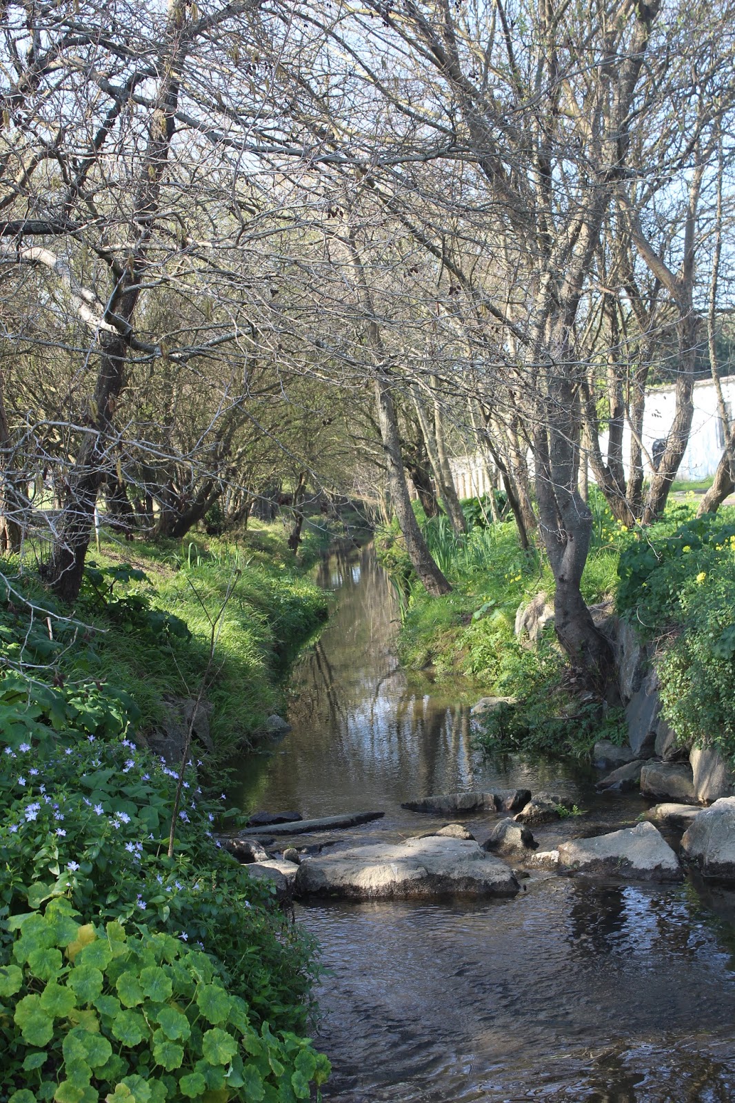 Passadiços de Arcozelo