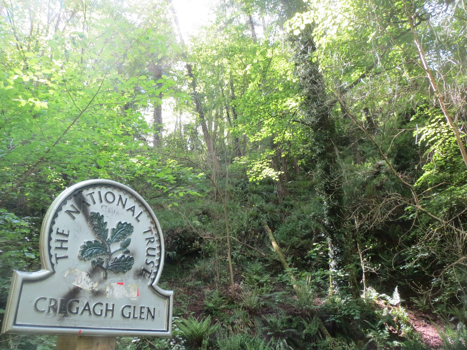 Lord Belmont in Northern Ireland: Cregagh Glen