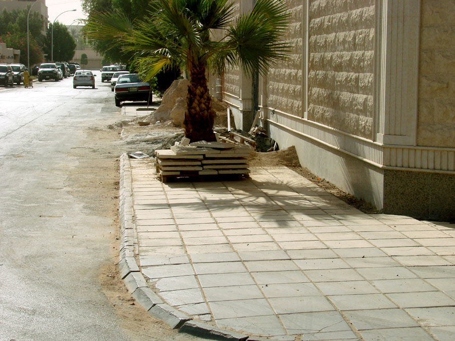 Veeds of Arabia: 5 modest proposals for Saudi Arabia