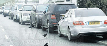 Art Hostage: Stolen Art Watch, Irish Pink Panthers Strike Again ...