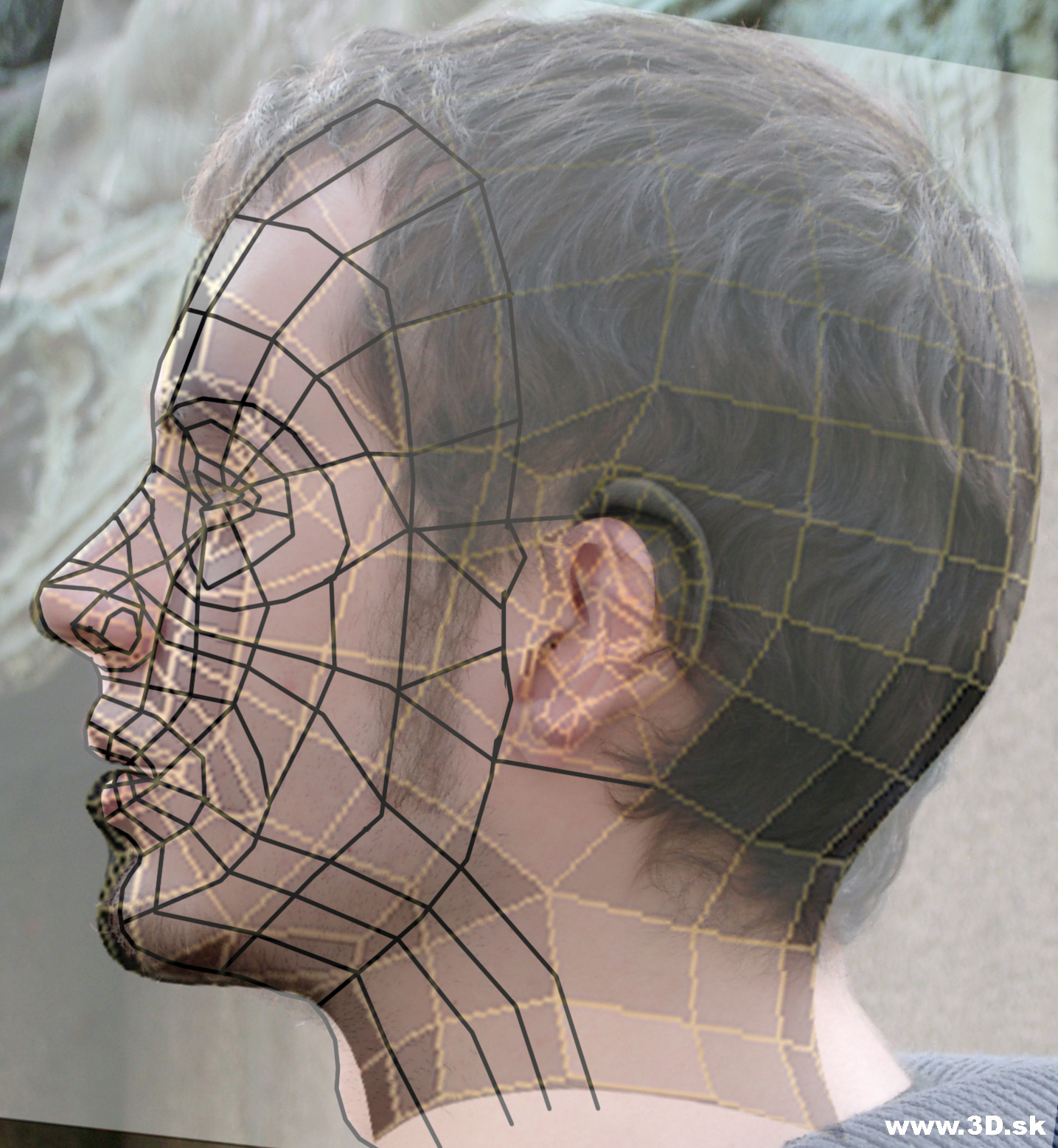 Alan-Taylor-DD1133: Face Modelling