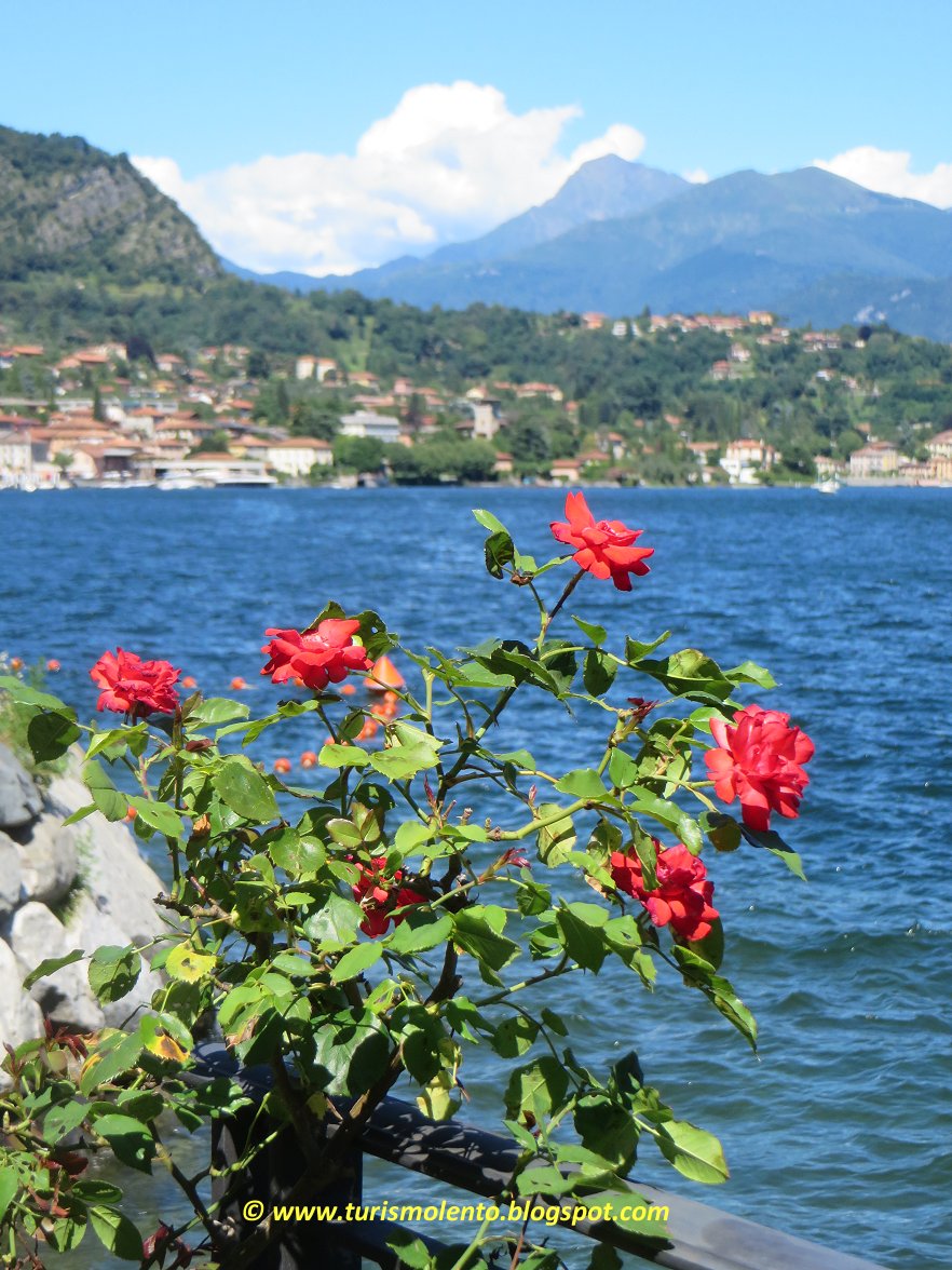 Lago di Como: Lenno