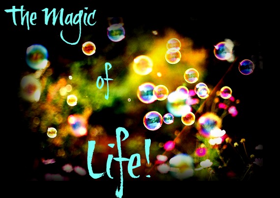 A Twist of Life: Magic of Life
