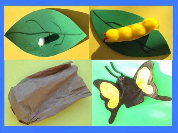 Who's Who and Who's New: Going Buggy!