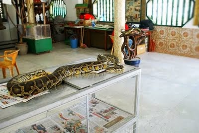 Southeast Asian Journey: Penang, Malaysia - Penang Snake Temple