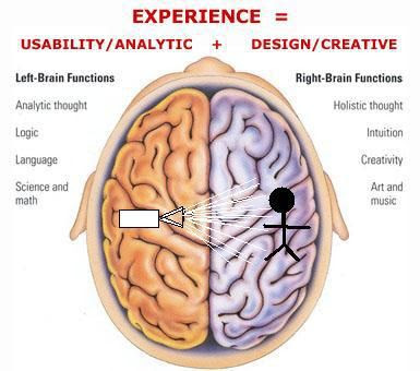 outline of cognitive area | Psychology OCR notes