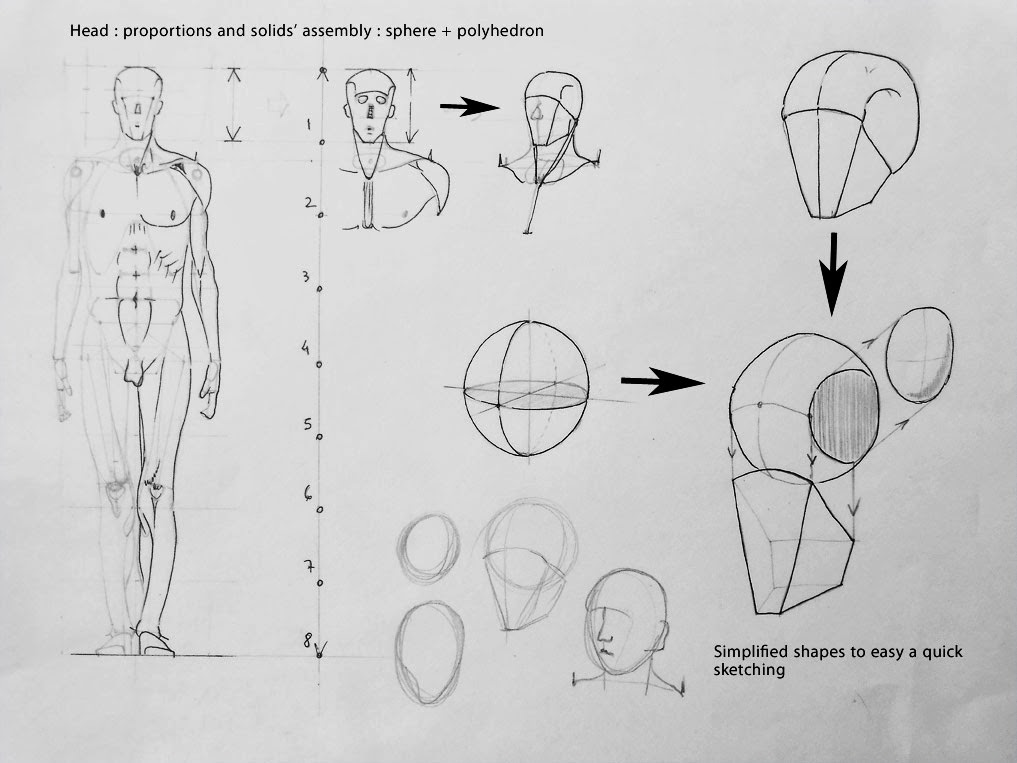 Drawing the Body: Head Tutorial