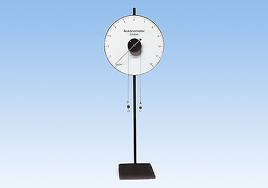 What is that?: Growth and Development in the Plants