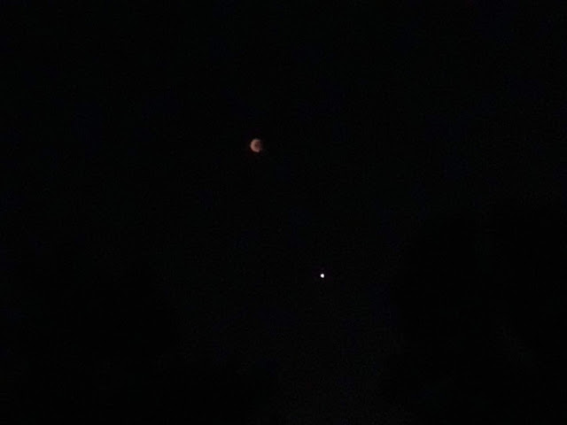 Vetus et Novus : L'anno di Marte.