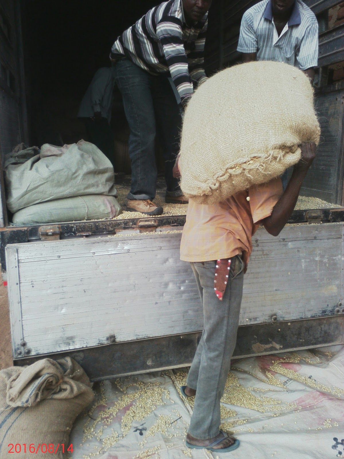 CHEMBA DISTRICT COUNCIL-DODOMA: August 2016