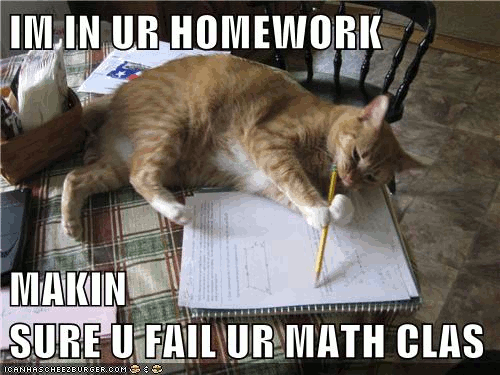 Grammar Catz: Grammar Cat #38: Homework Cat