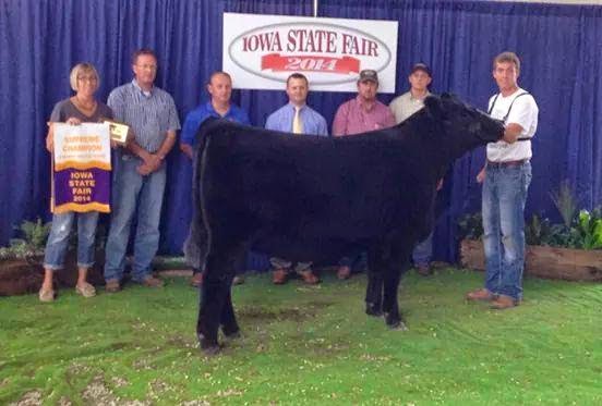MITTAG Blog: Champion FFA Heifer | Iowa State Fair