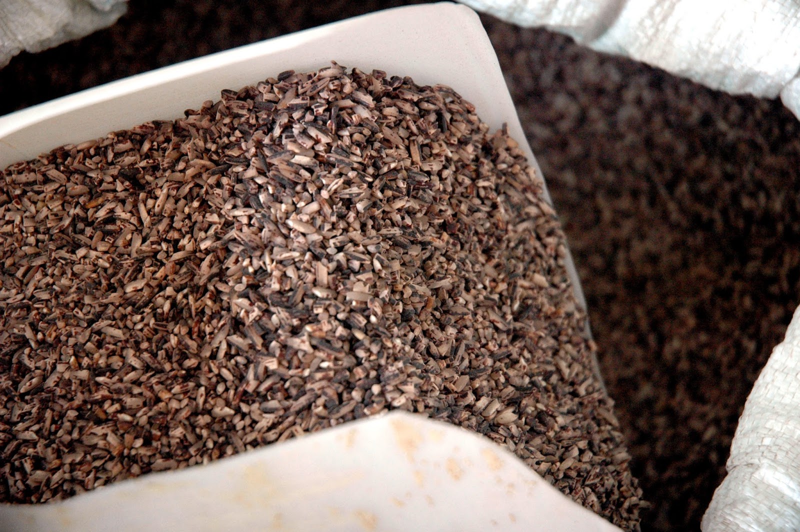 DUDE FOR FOOD: Flavors of Catbalogan: Going Native at Rutchel's Eatery