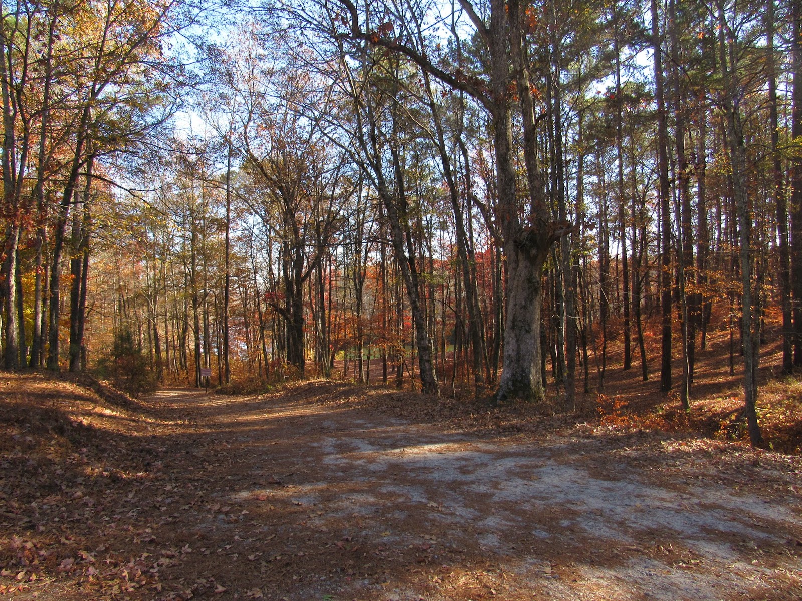 Where's Liz? 2016: McIntosh Reserve Park, Georgia