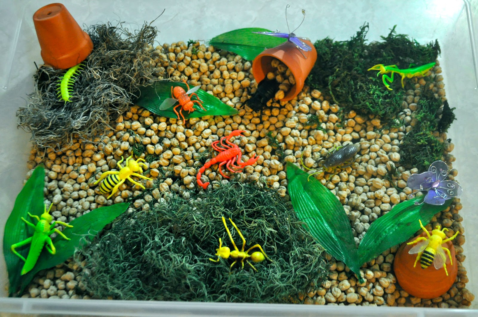 Minding Monkeys: Sensory Bins