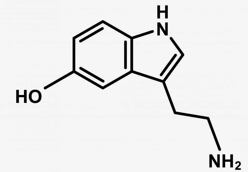 Ce que tu cherche : Quels sont sérotonine et la noradrénaline?