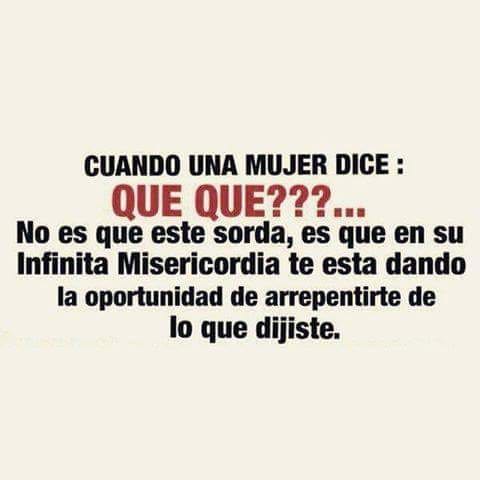 La fura que riu-O furão risonho: de maig 2016