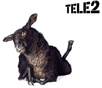 Mårtens investeringsblogg: Fyller på med Tele2