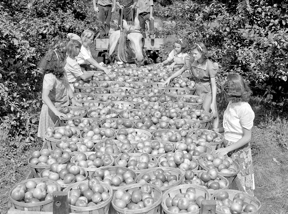 History in Photos: Leslie Jones Collection