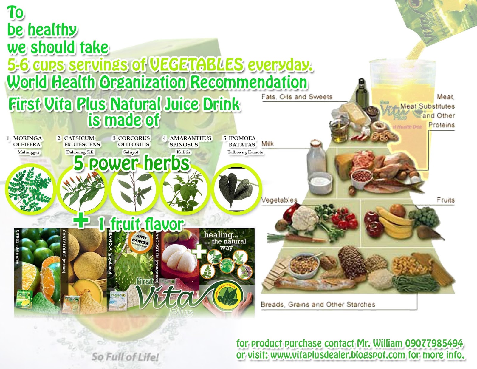 First Vita Plus Natural Health Drink: First Vita Plus Health Benefits