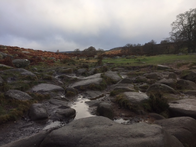National Trust Scones: Longshaw, Burbage and the Eastern Moors