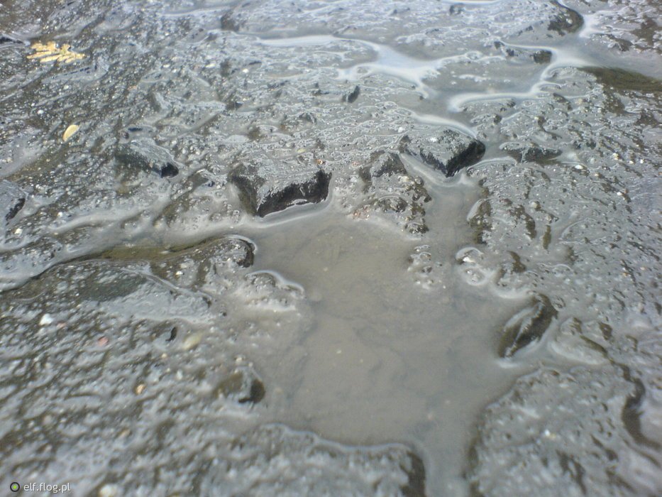 + Chleb Boski +: Błoto