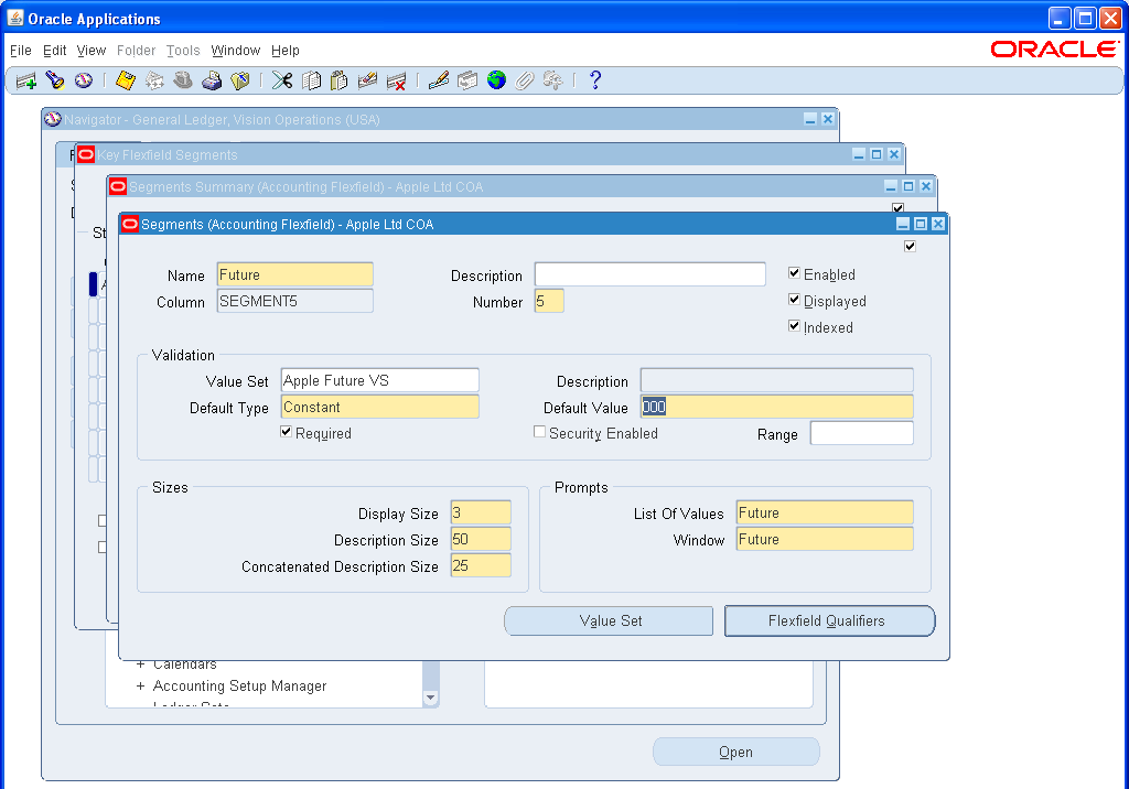 Oracle E-Business Suite R12 Financials: Defining Multi Organization