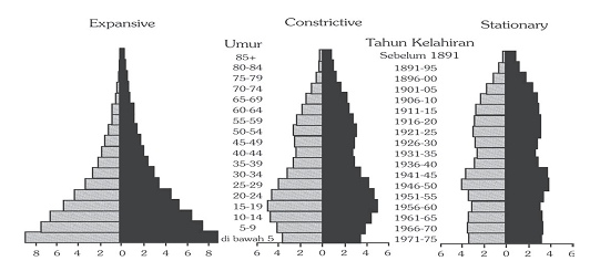 3 Bentuk Piramida Penduduk: Expansive, Stasioner, & Constructive ~ IPS ...