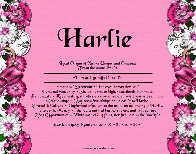 Harlie | Unique Names