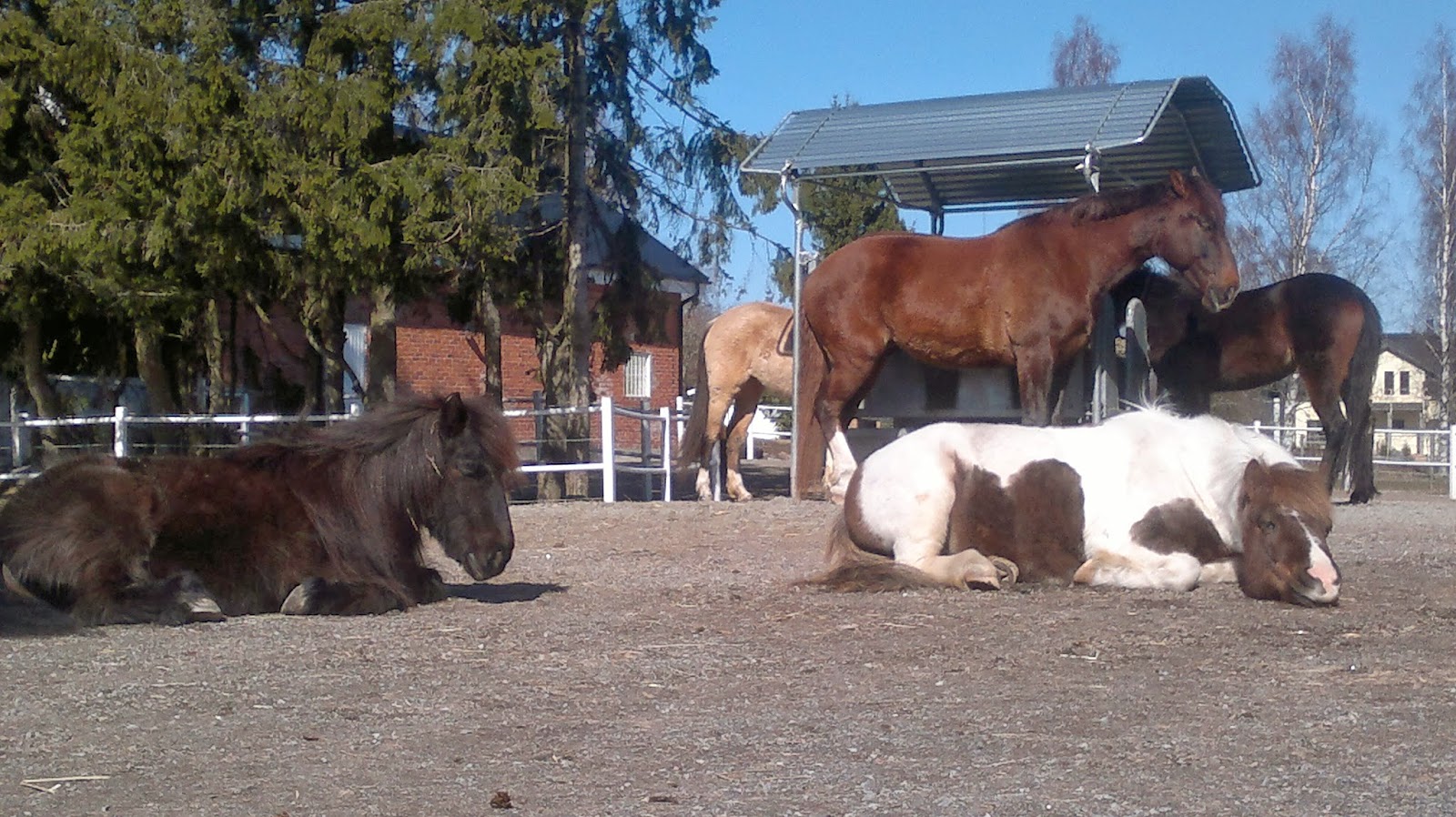 Tapahtumarikas Tallimme!