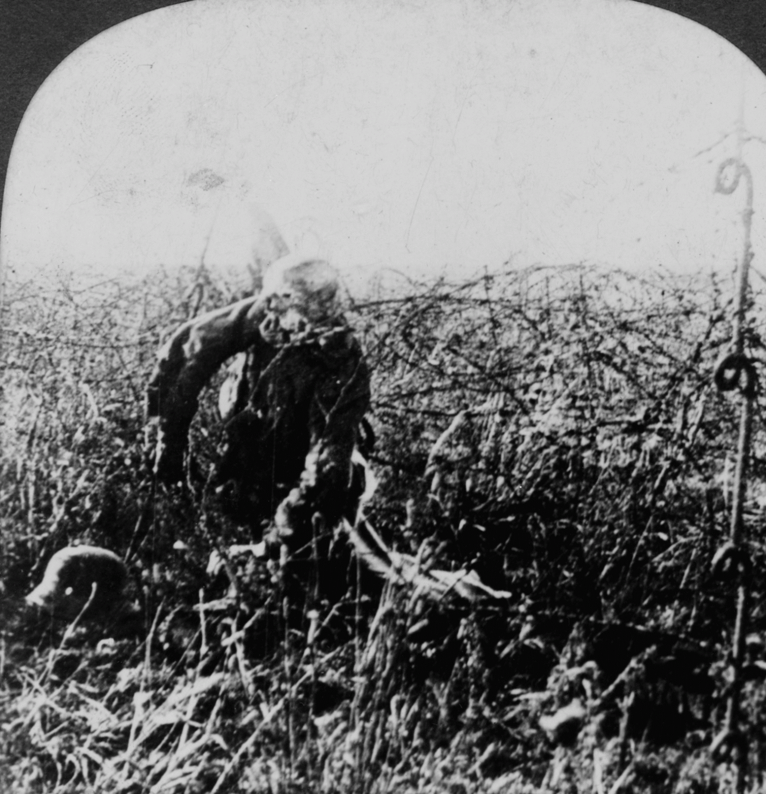 The Chubachus Library Of Photographic History The Body Of A Dead Soldier Caught In A Barbed