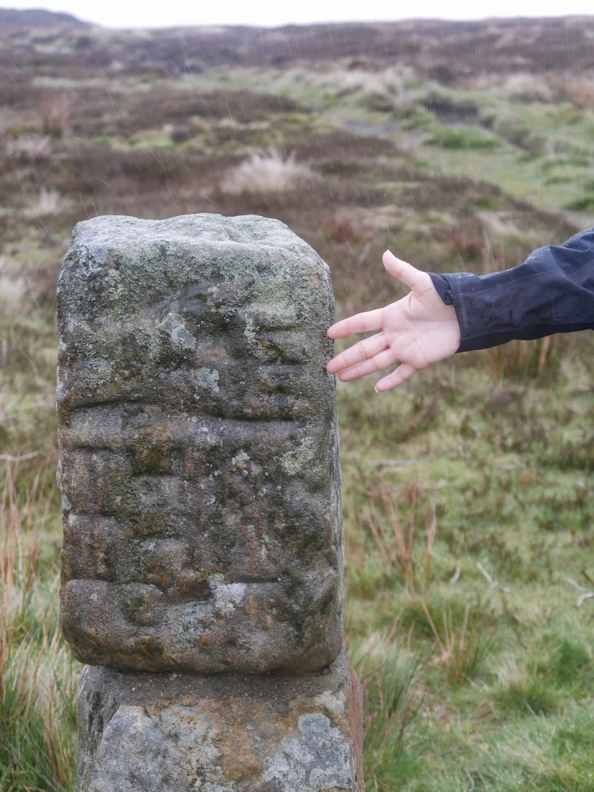 Our Coast to Coast Walk 2014: Day 17 Clay Bank Top to Blakey Ridge (14. ...