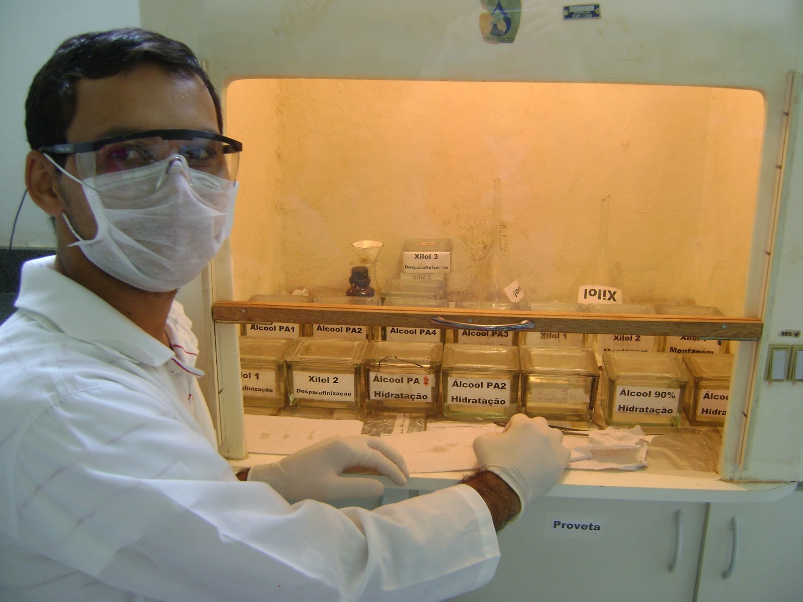 Biologia celular: construindo conhecimentos: Processamento de Material ...