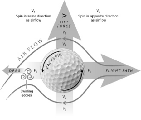 Genomics, Medicine, and Pseudoscience: The Physics of Golf