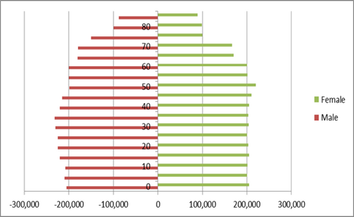 Caracas, Venezula: population pyramid