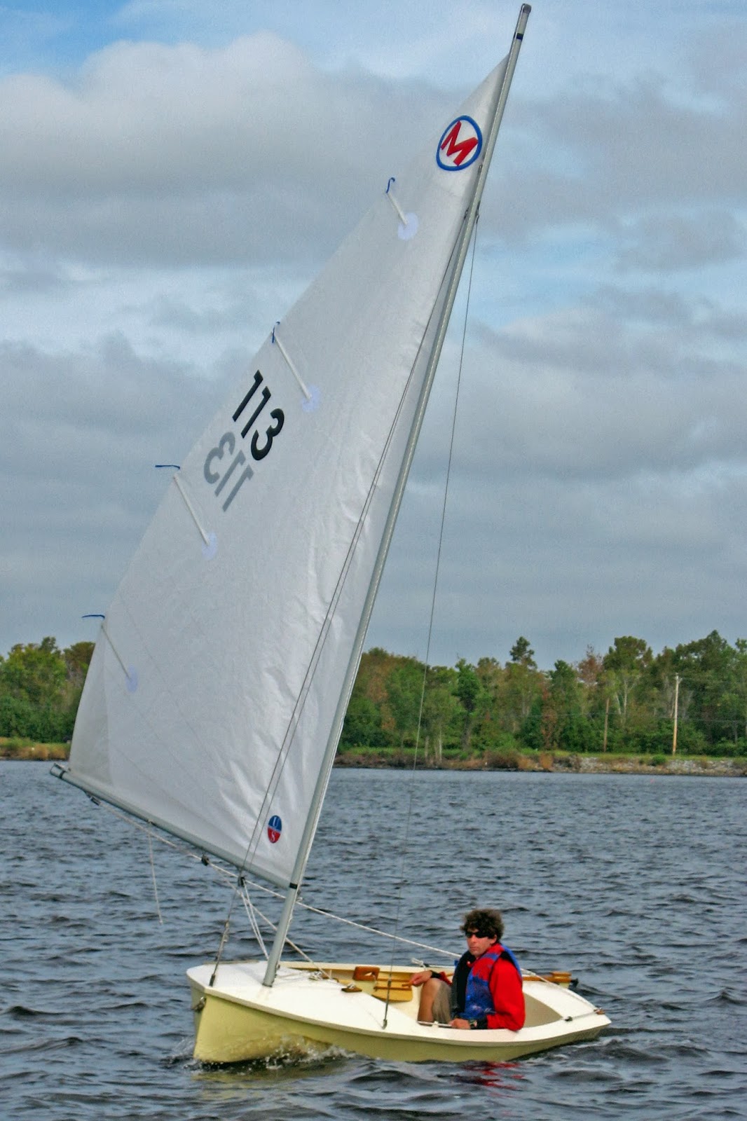 Earwigoagin: Classic Moth plans