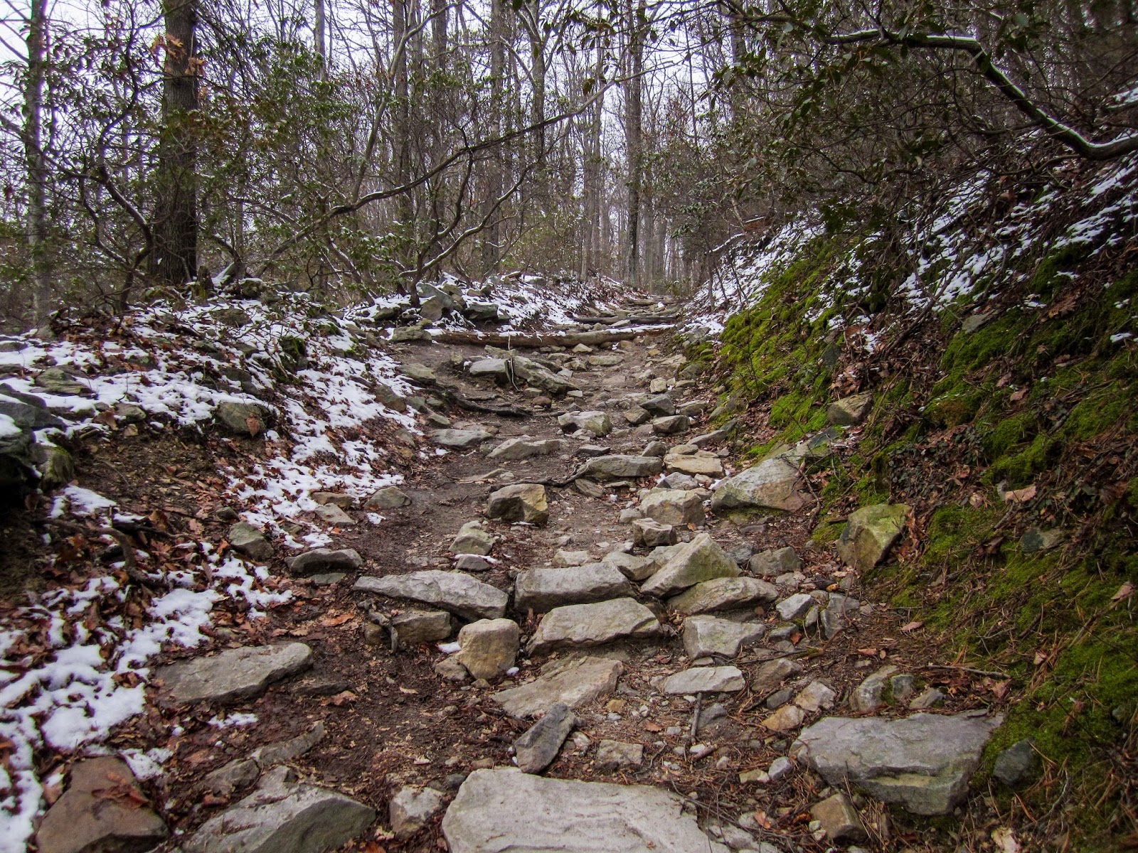 Eric's Hikes: Appalachian Trail: Annapolis Rock