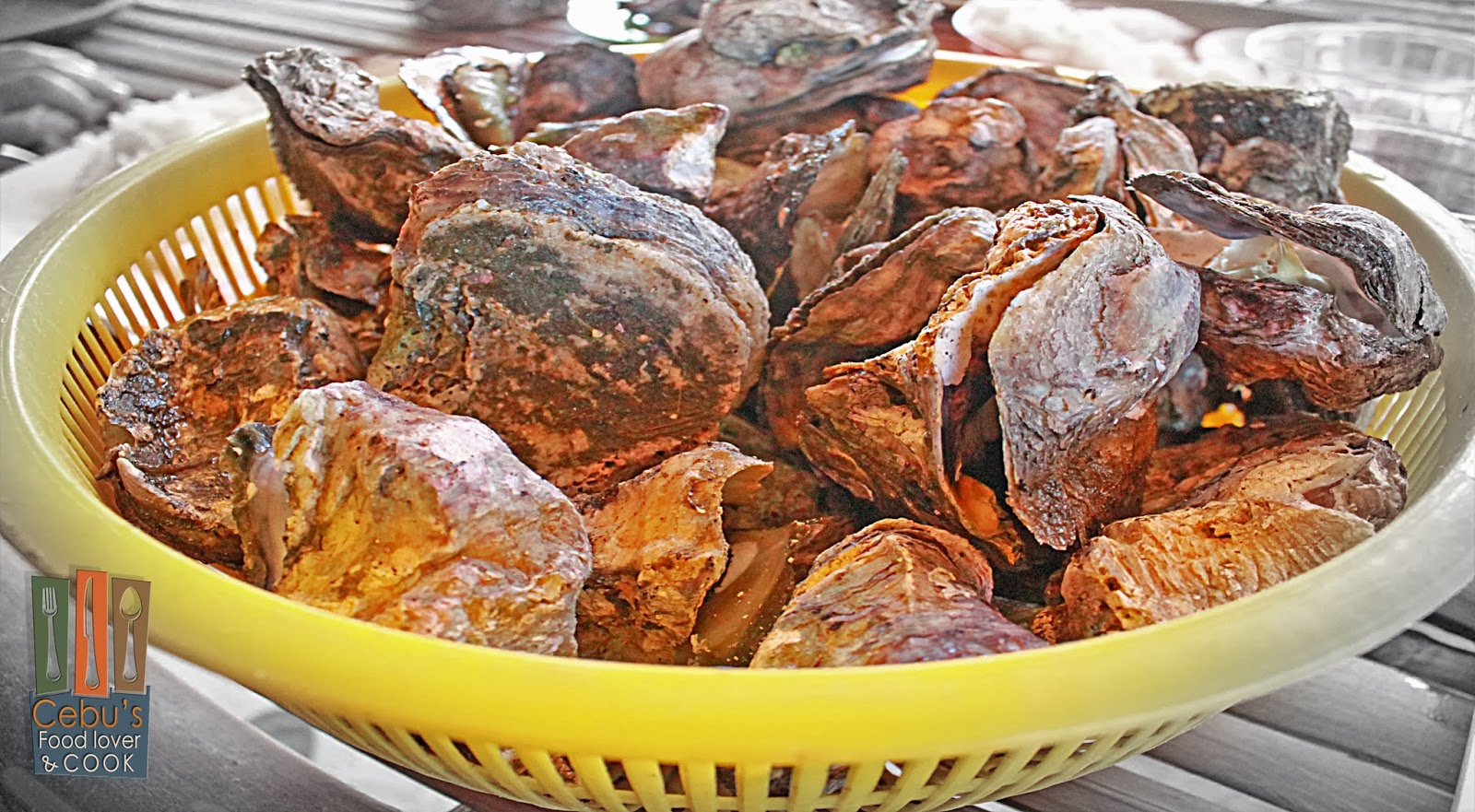 Cebu's Food Lover and Cook: CO JORDAN TALABA / BANGUS FARM ...