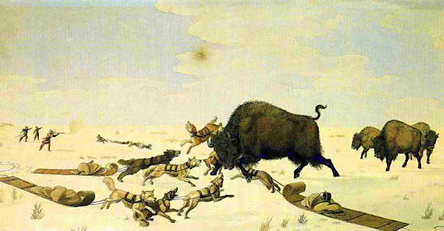 Saskatchewan: Metis buffalo hunters of Red River