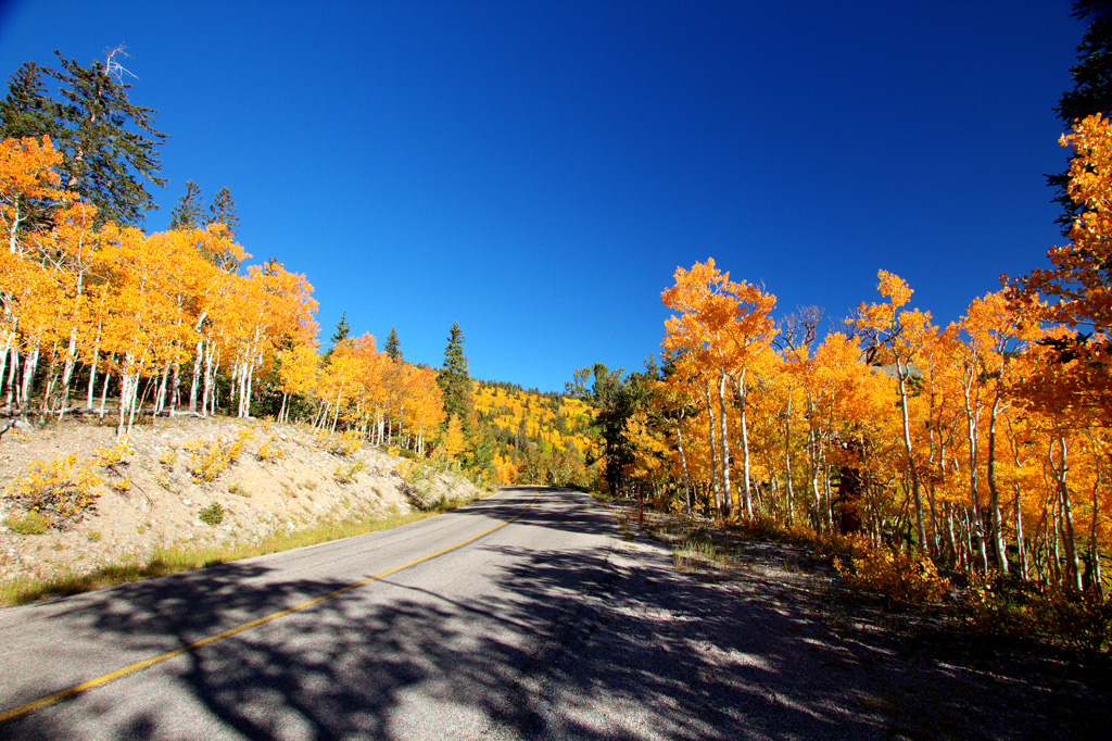 CarlRoessler: Another perfect weather day...