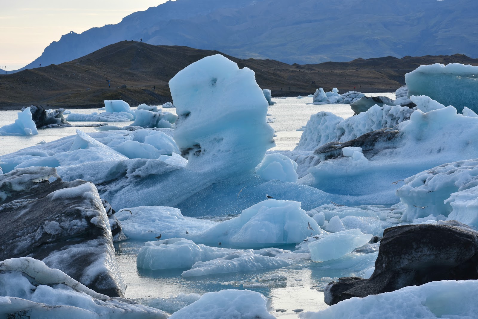 -Iceland Ring Road: Day 3- | Where we truly belong
