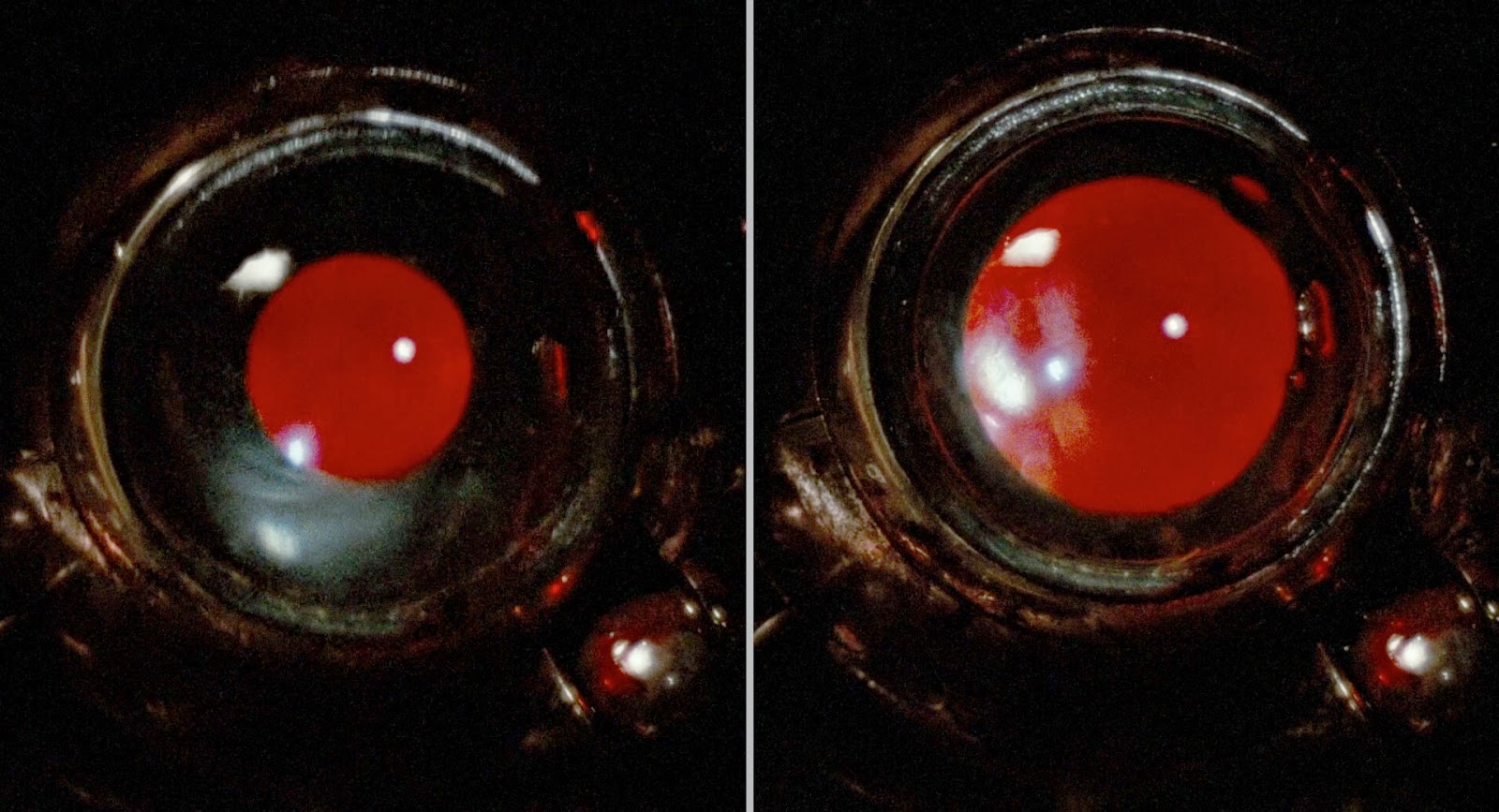 T800-101: Building a Terminator Endo Skull: RESEARCH - EYES