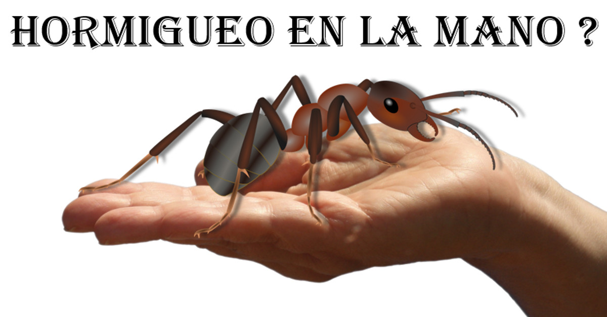 Hormigueo en las manos: Causas y qué hacer - Propiedades y ...