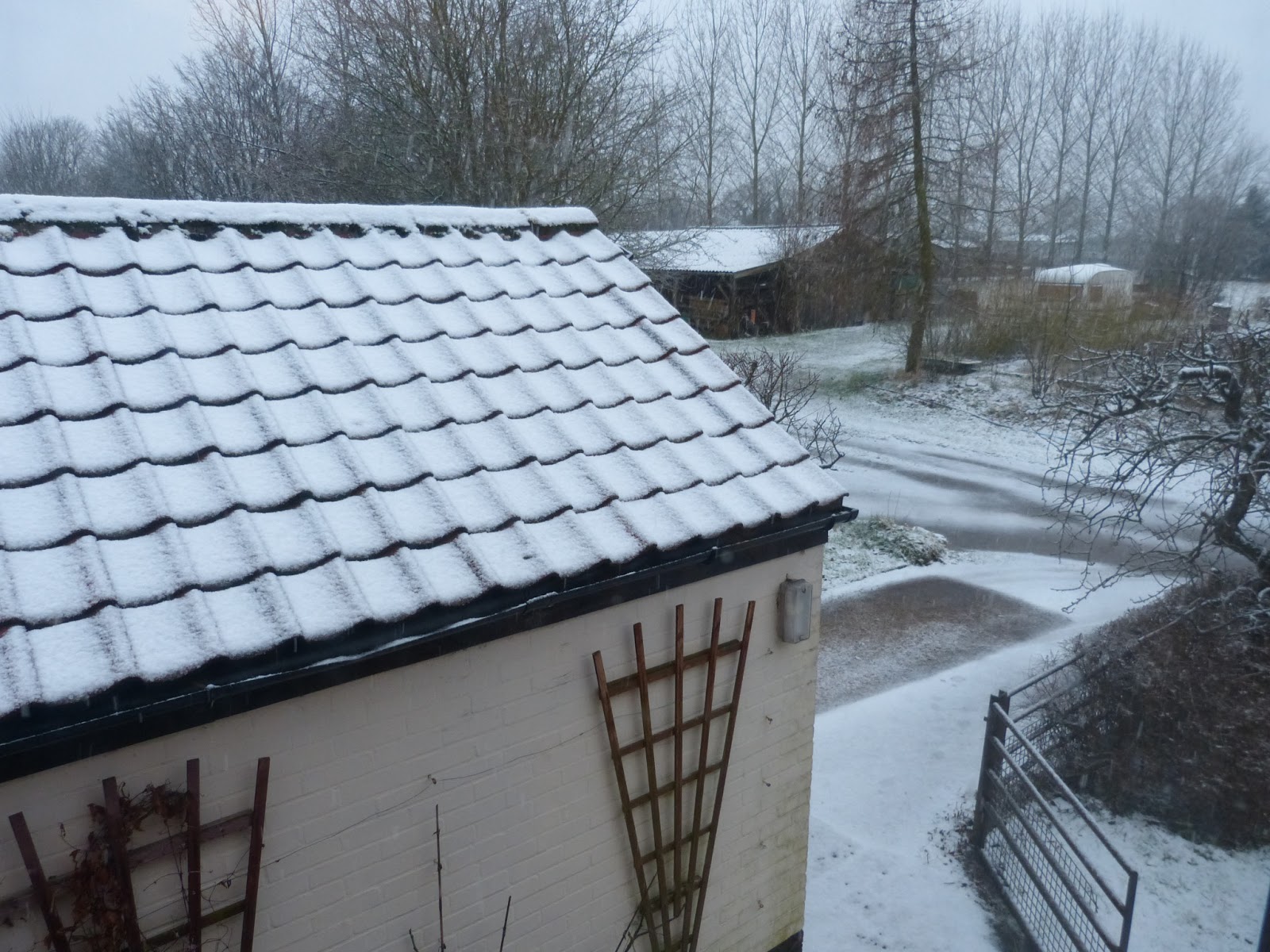 Twigger's stuff: Spring/Winter (Sprinter)