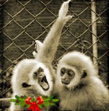 Blue Heron Blast: Yule Gibbons