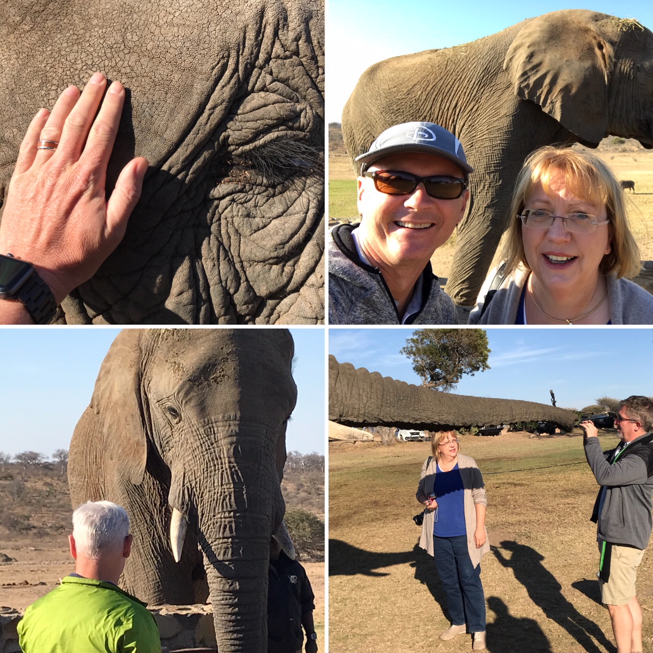 An African Adventure: Elephant Interaction